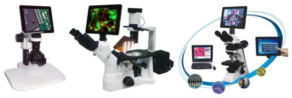 touchpad-980×330 – Caltex Professional Microscope, Camera, and ...