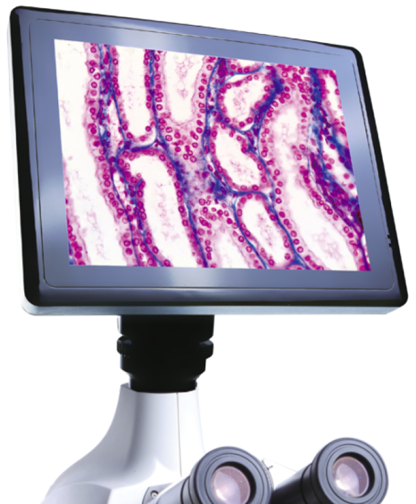 PadCam on trinocular microscope – Caltex Digital Microscopes