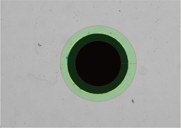 Instant Measurement System – Caltex Digital Microscopes