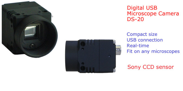 Microscope Cameras – Caltex Digital Microscopes